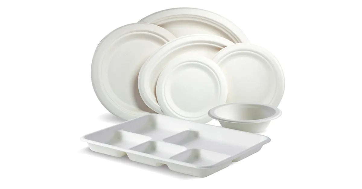Disposable party items – gurumart.co.nz